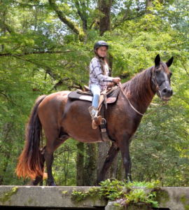 Home - Diamond D Ranch